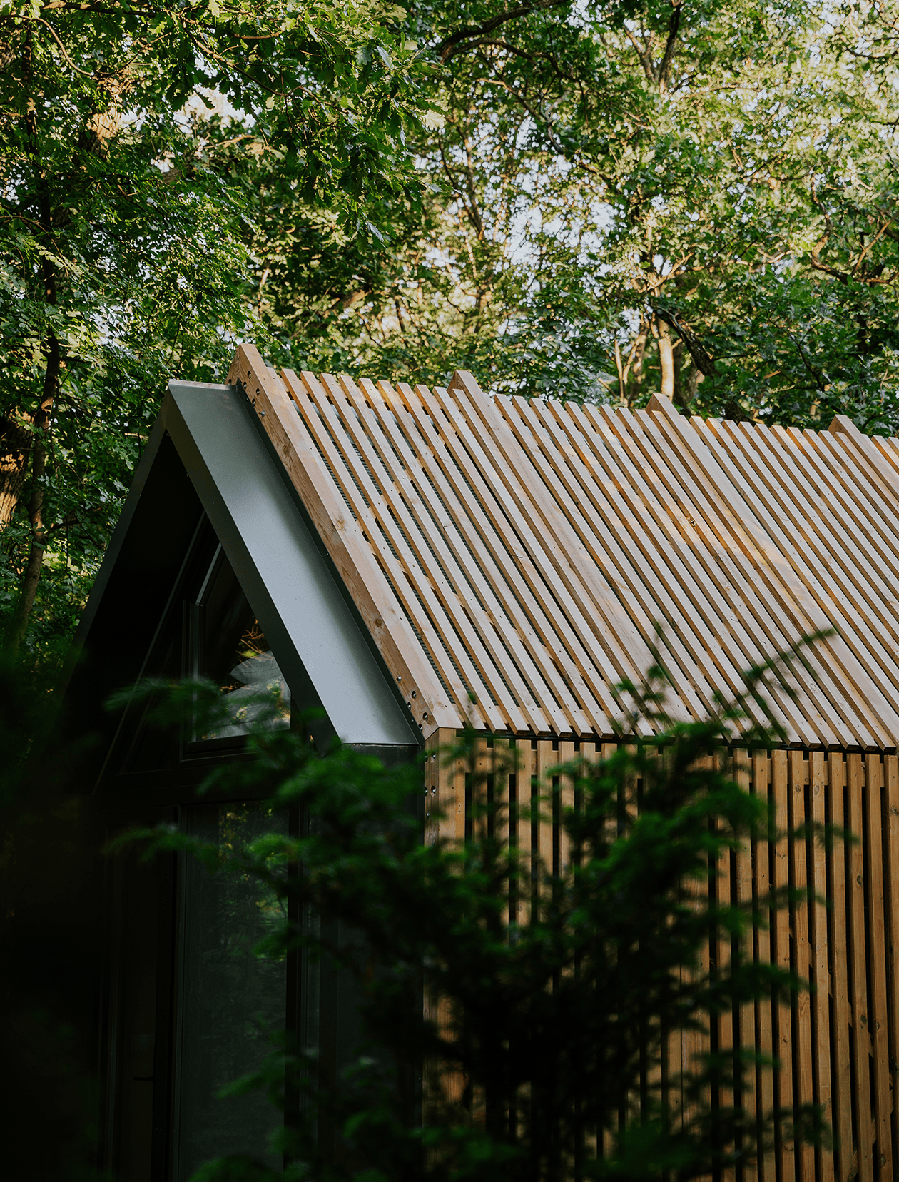 Slowood Cabins - Lelassulás a Balatoni, Erdei Kabinodban